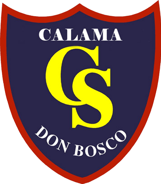 Colegio Salesiano Don Bosco Logo